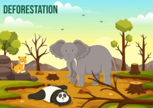 Habitat destruction affects animals