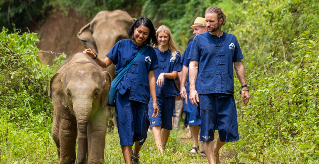 Government involvement in Wildlife Care