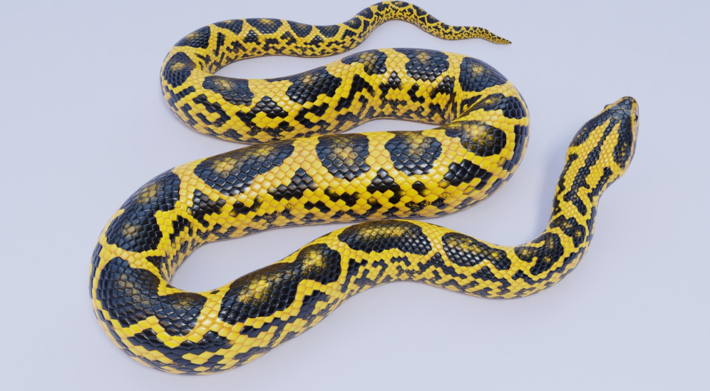 Top 10 Facts about Yellow Anaconda - ANIMALS