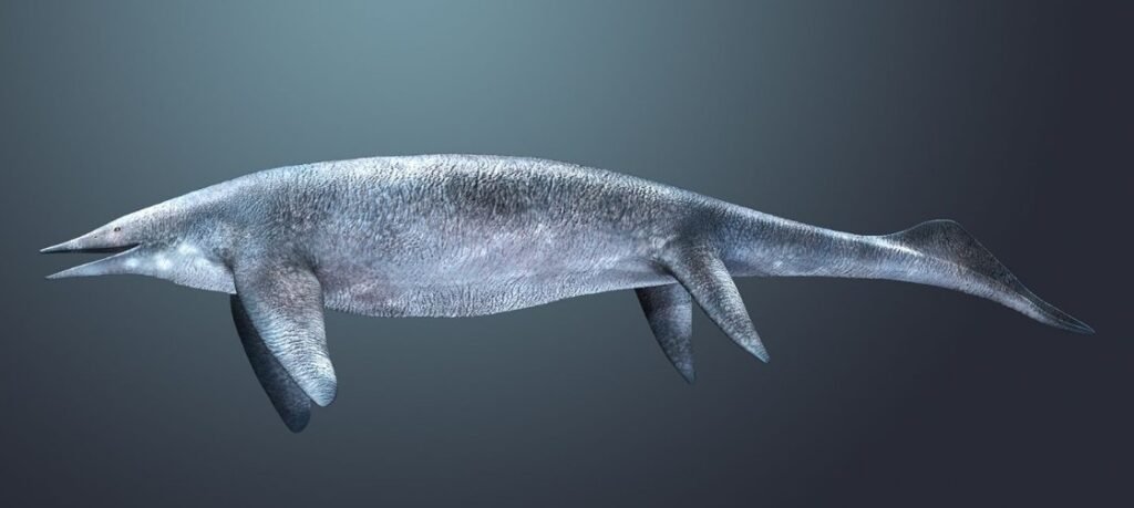Shastasaurus - Facts, Pictures and Questions