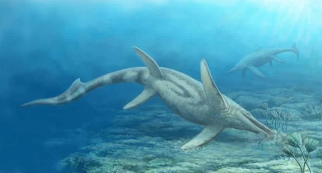 Shastasaurus - Facts, Pictures and Questions