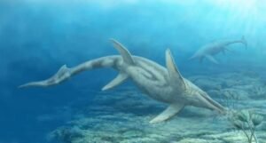 Shastasaurus - Facts, Pictures and Questions